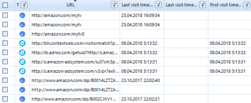Understanding Web Browser Forensics.