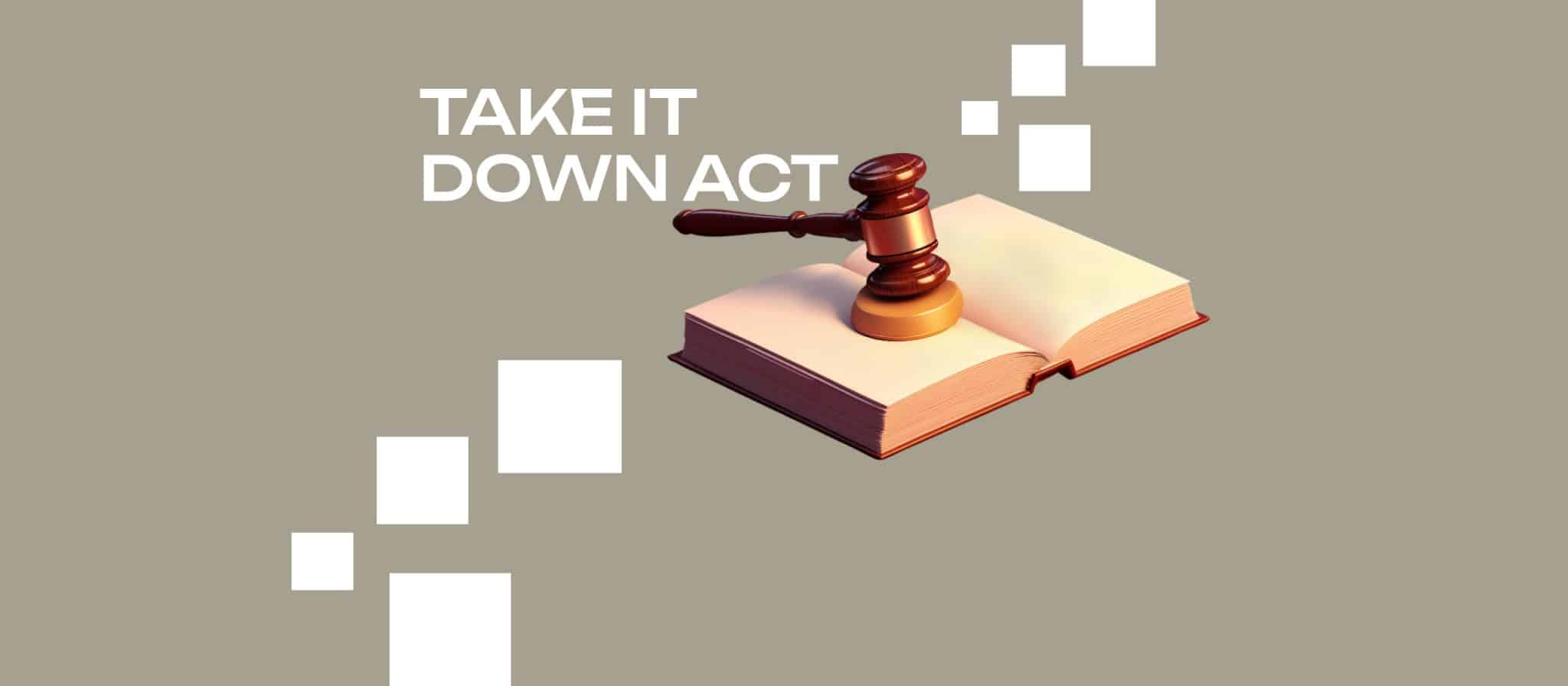 TAKE IT DOWN Act Explained: Simple 4-Minute Guide